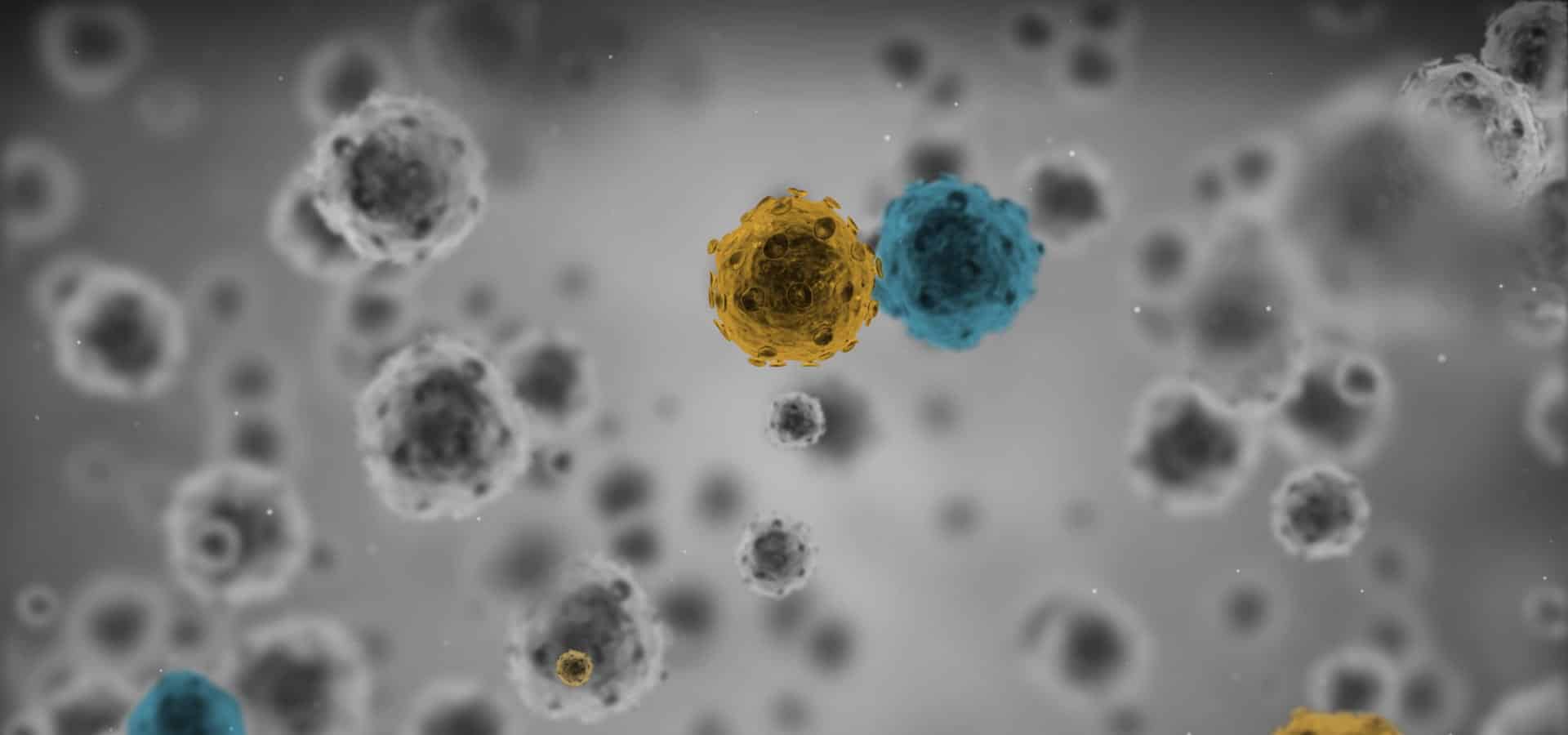 MeMed Beyond the Score | MeMed